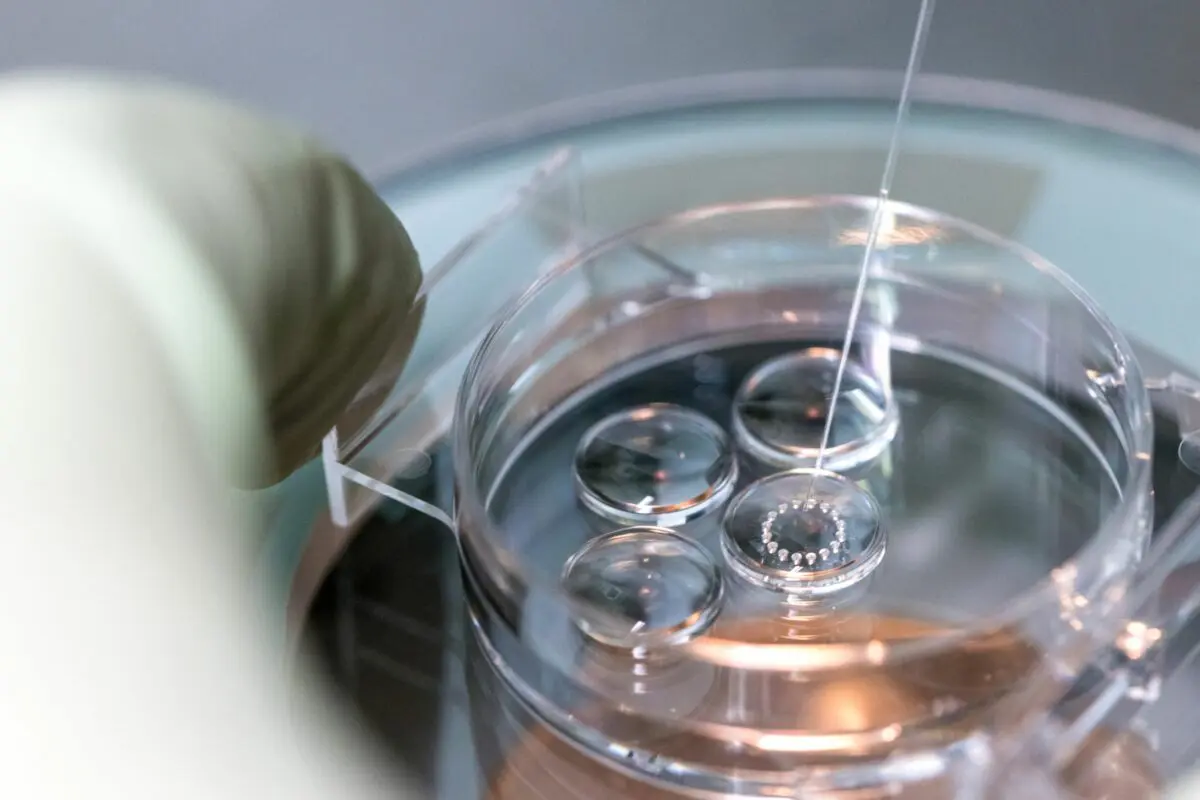 Protocols - Embryo Models